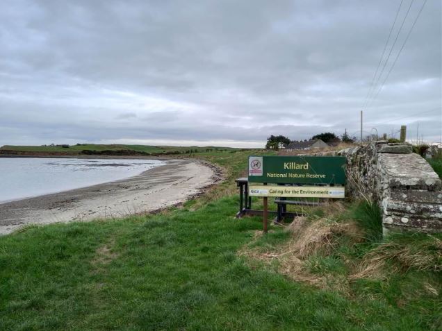 KILLARD NATURE RESERVE BENCHES AND TABLE – Lecale Conservation Association
