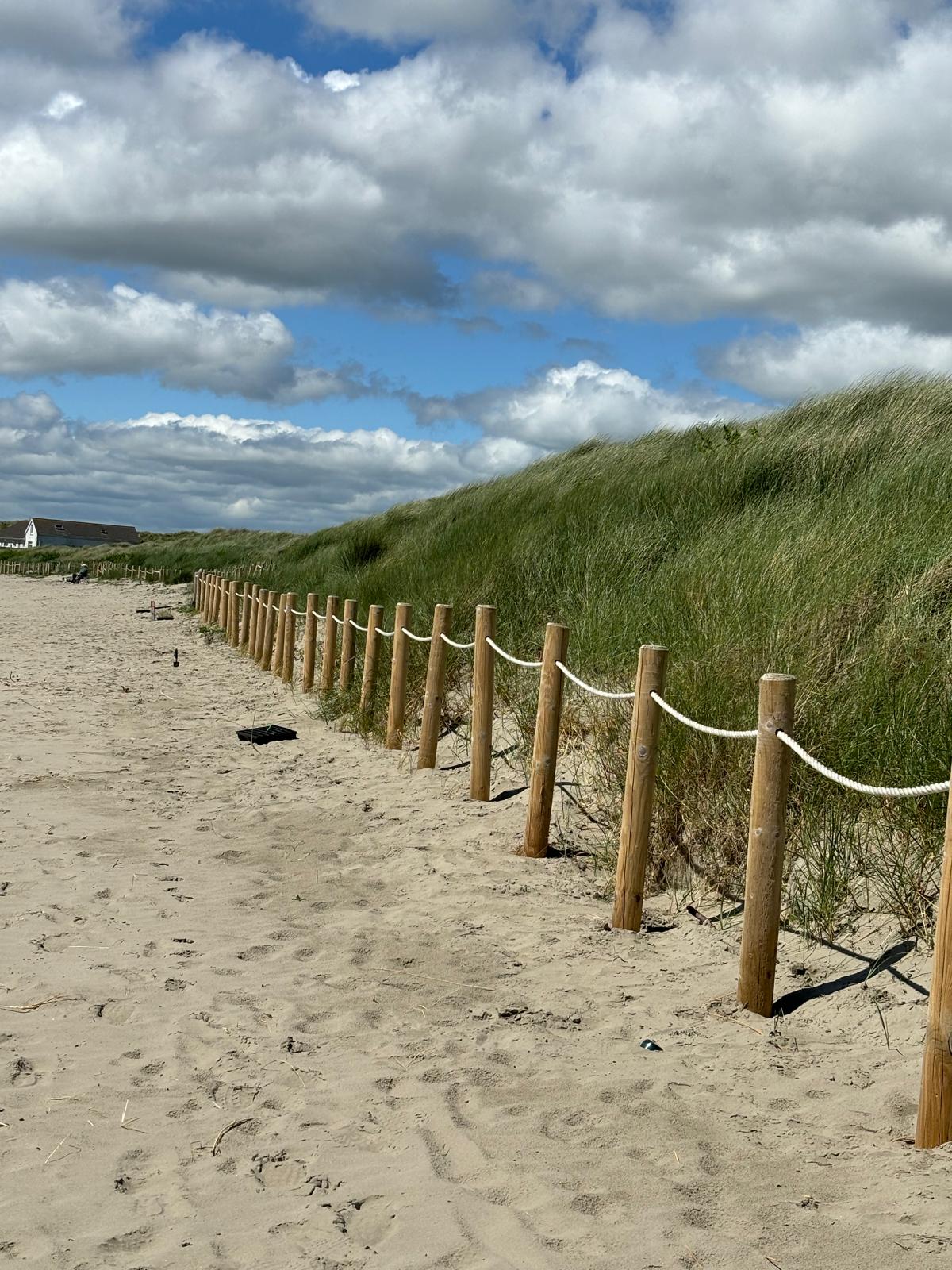 Tyrella Beach Sand dune Planting – Lecale Conservation Association